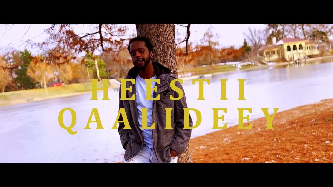 Heesify - Somali Music Lyrics & More